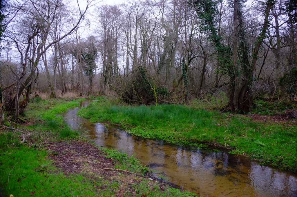 river restoration – Chalk-Streams
