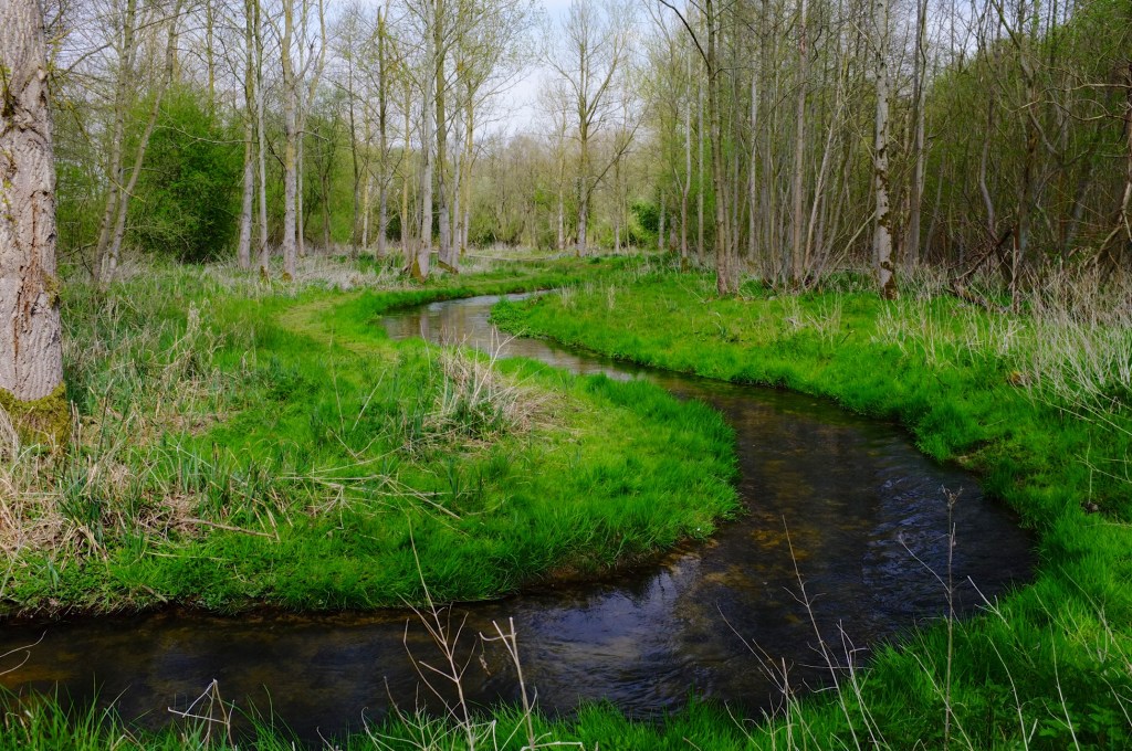 Natural England’s official chalk stream map – Chalk-Streams
