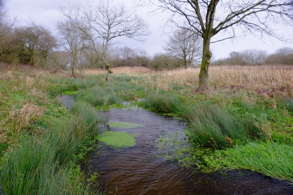 The abandoned chalk stream recovery pack? – Chalk-Streams