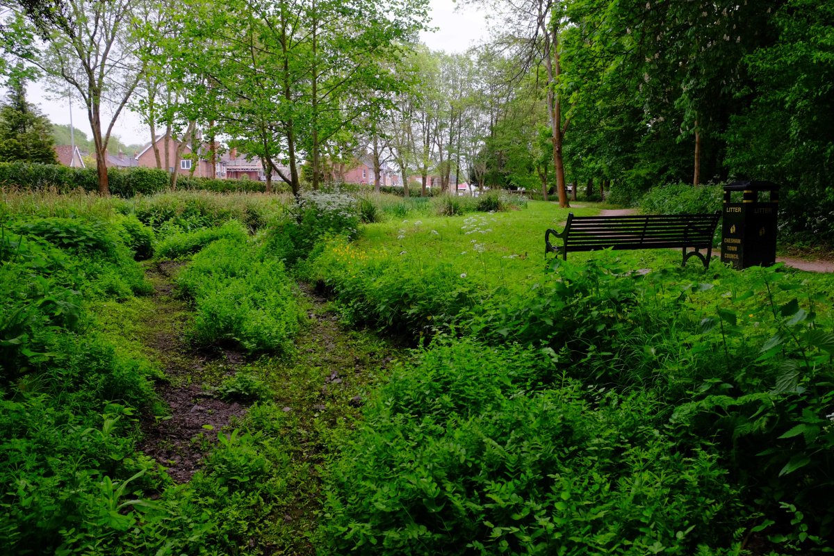 The trinity of chalk stream health. Flow. – Chalk-Streams