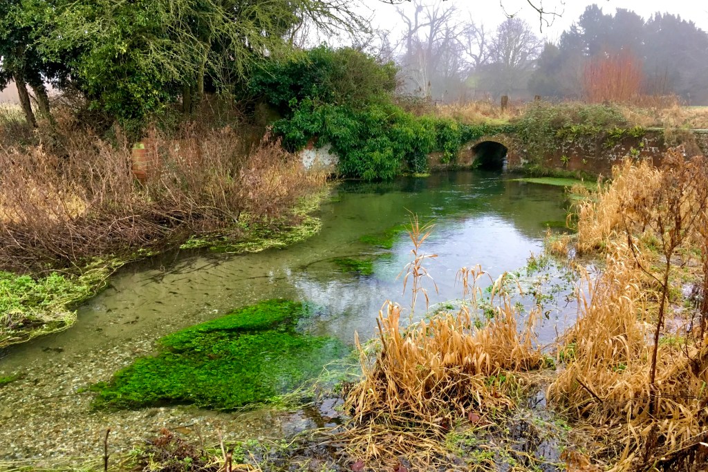 The Index of English Chalk Streams – Chalk-Streams