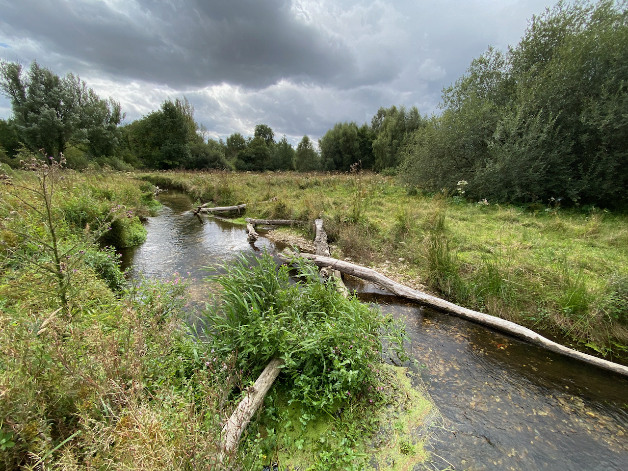 Chalk stream restoration advice / consultancy – Chalk-Streams