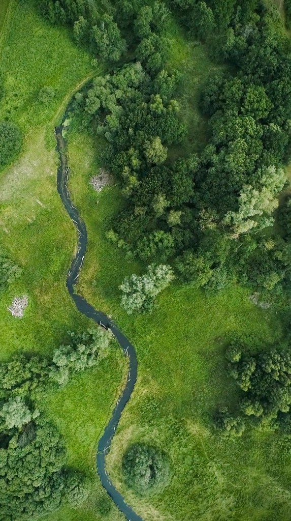 Chalk stream restoration advice / consultancy – Chalk-Streams