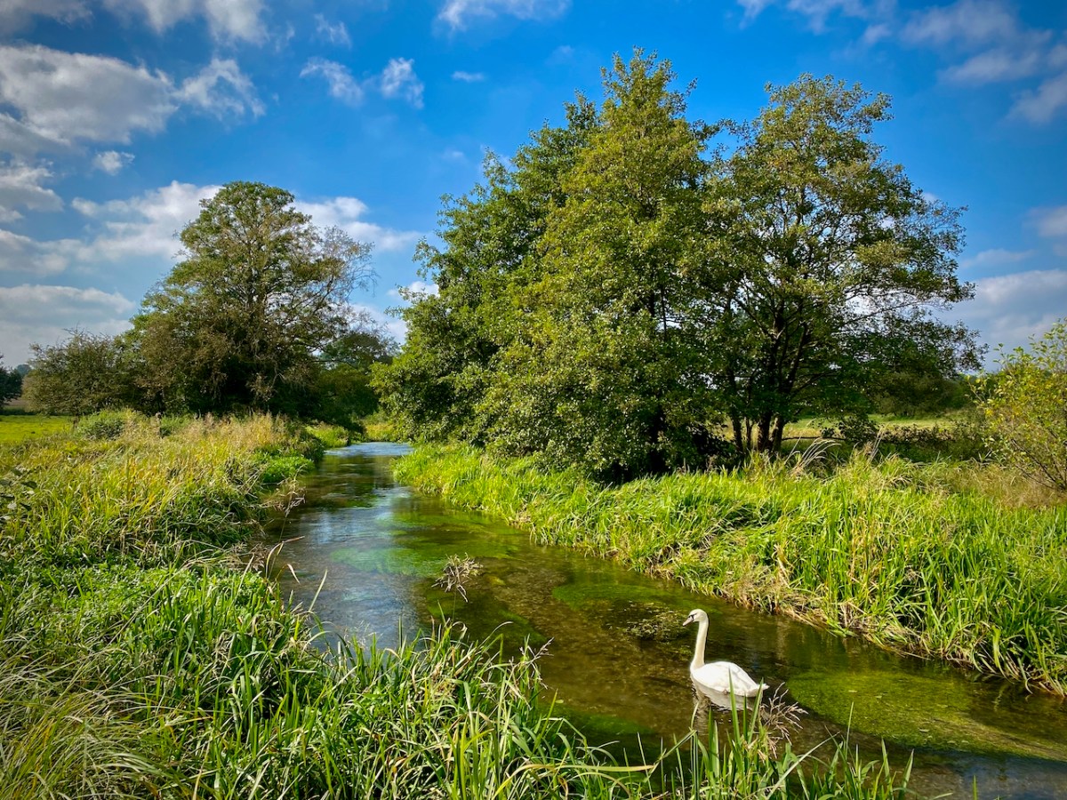 Launching the CaBA chalk stream restoration strategy – Chalk-Streams