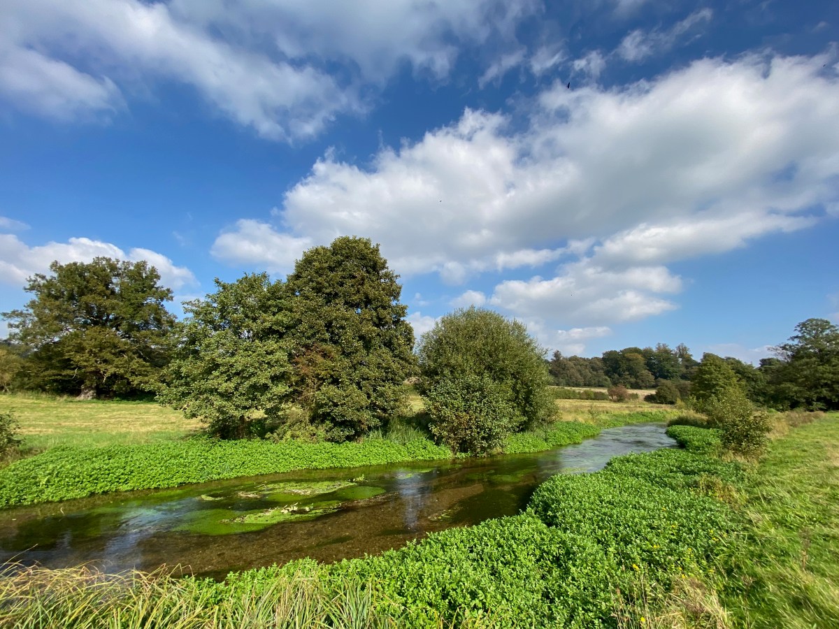 The priority habitat map of English chalk streams – Chalk-Streams