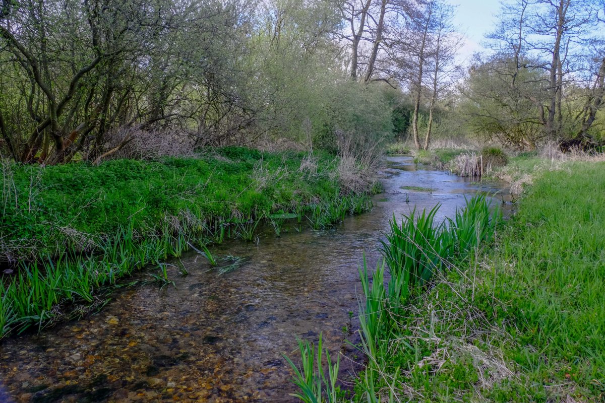 CaBA chalk stream hub – Chalk-Streams
