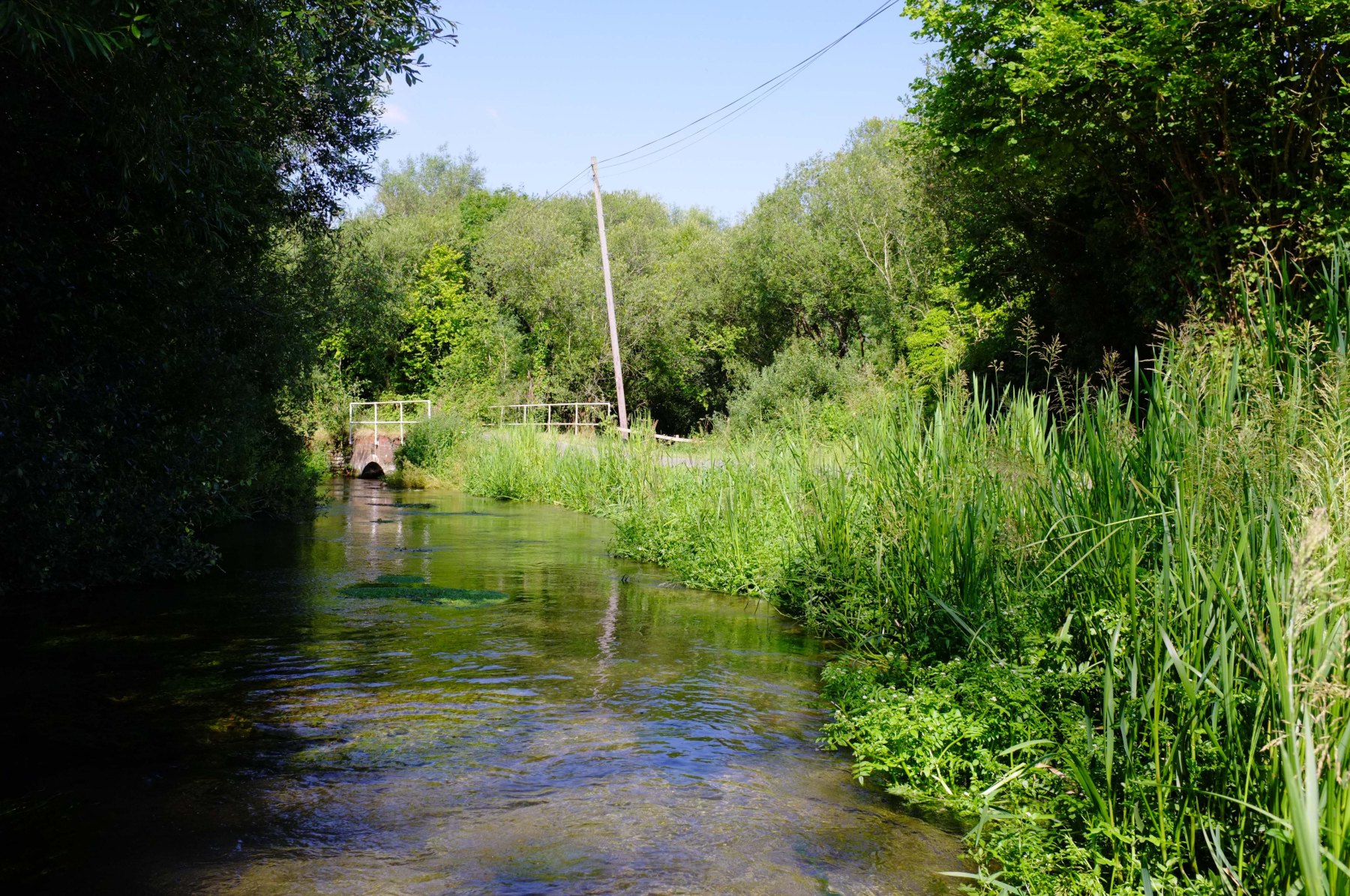 The priority habitat map of English chalk streams – Chalk-Streams