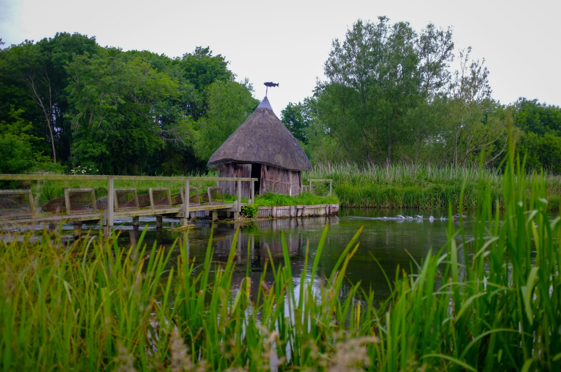 The priority habitat map of English chalk streams – Chalk-Streams