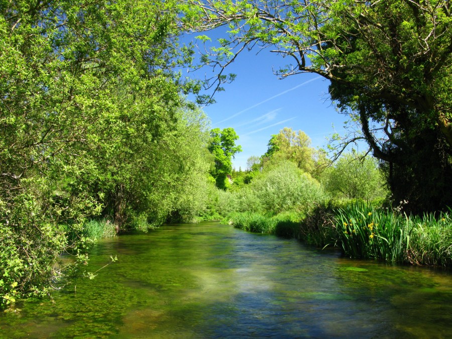 Chalk-Streams – the conservation and restoration of chalk-streams