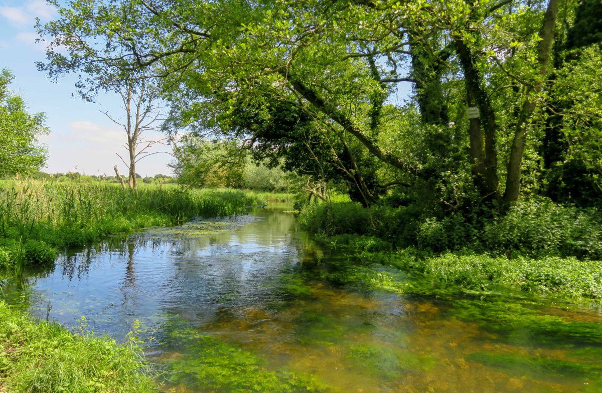 The priority habitat map of English chalk streams – Chalk-Streams