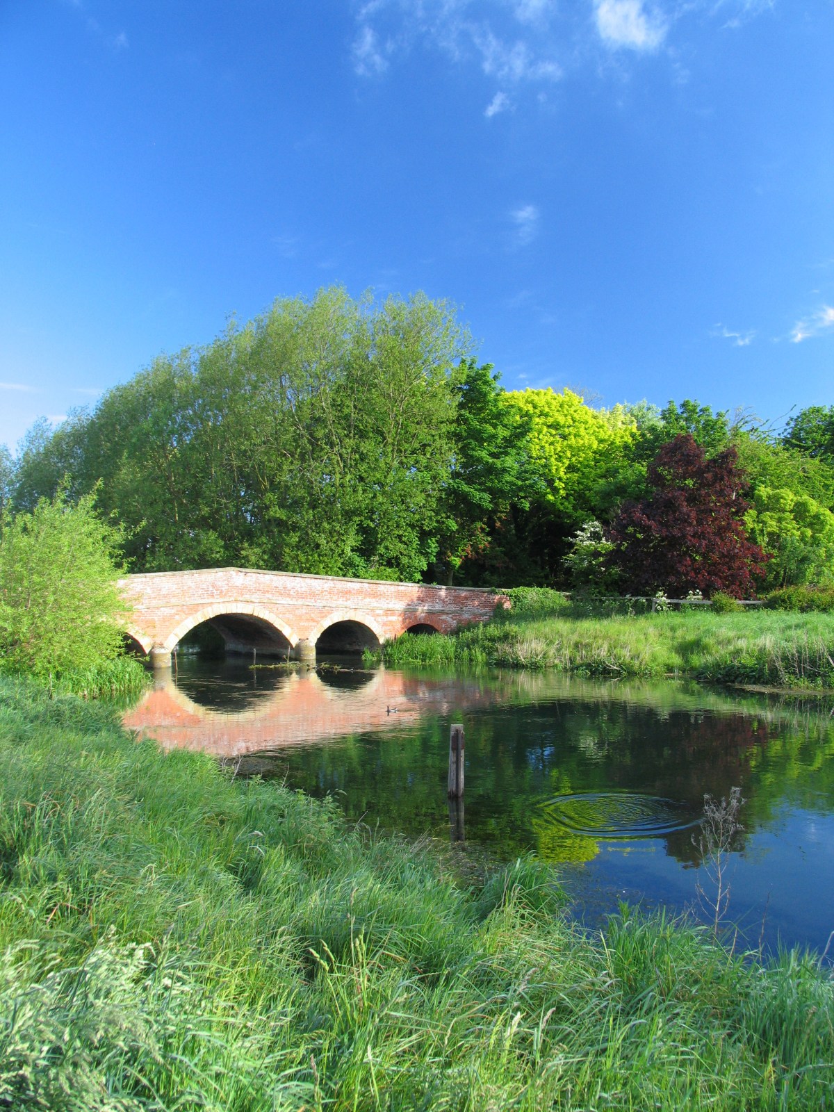 The priority habitat map of English chalk streams – Chalk-Streams
