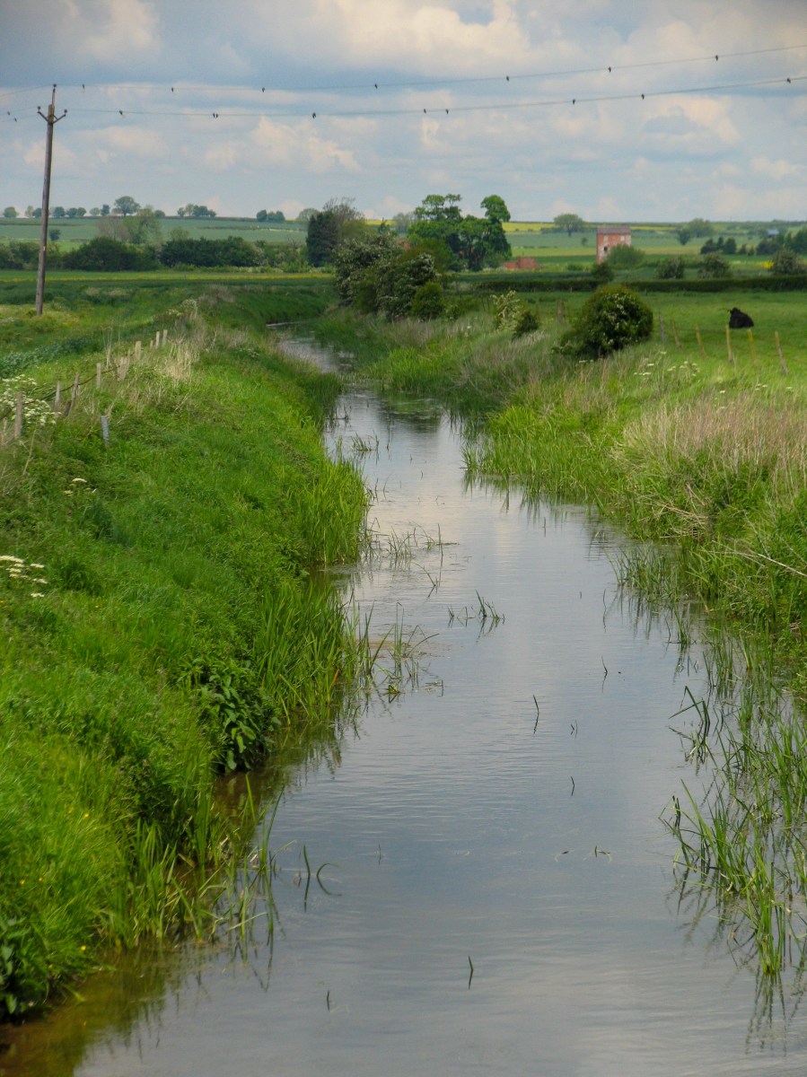 The priority habitat map of English chalk streams – Chalk-Streams