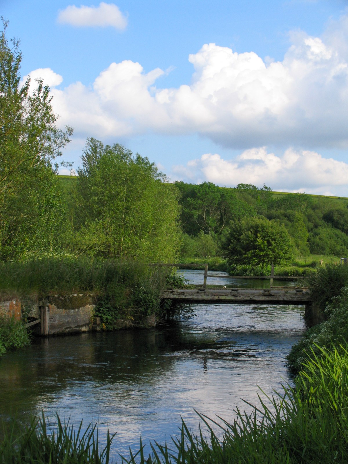 The priority habitat map of English chalk streams – Chalk-Streams