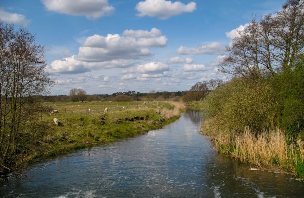 The priority habitat map of English chalk streams – Chalk-Streams