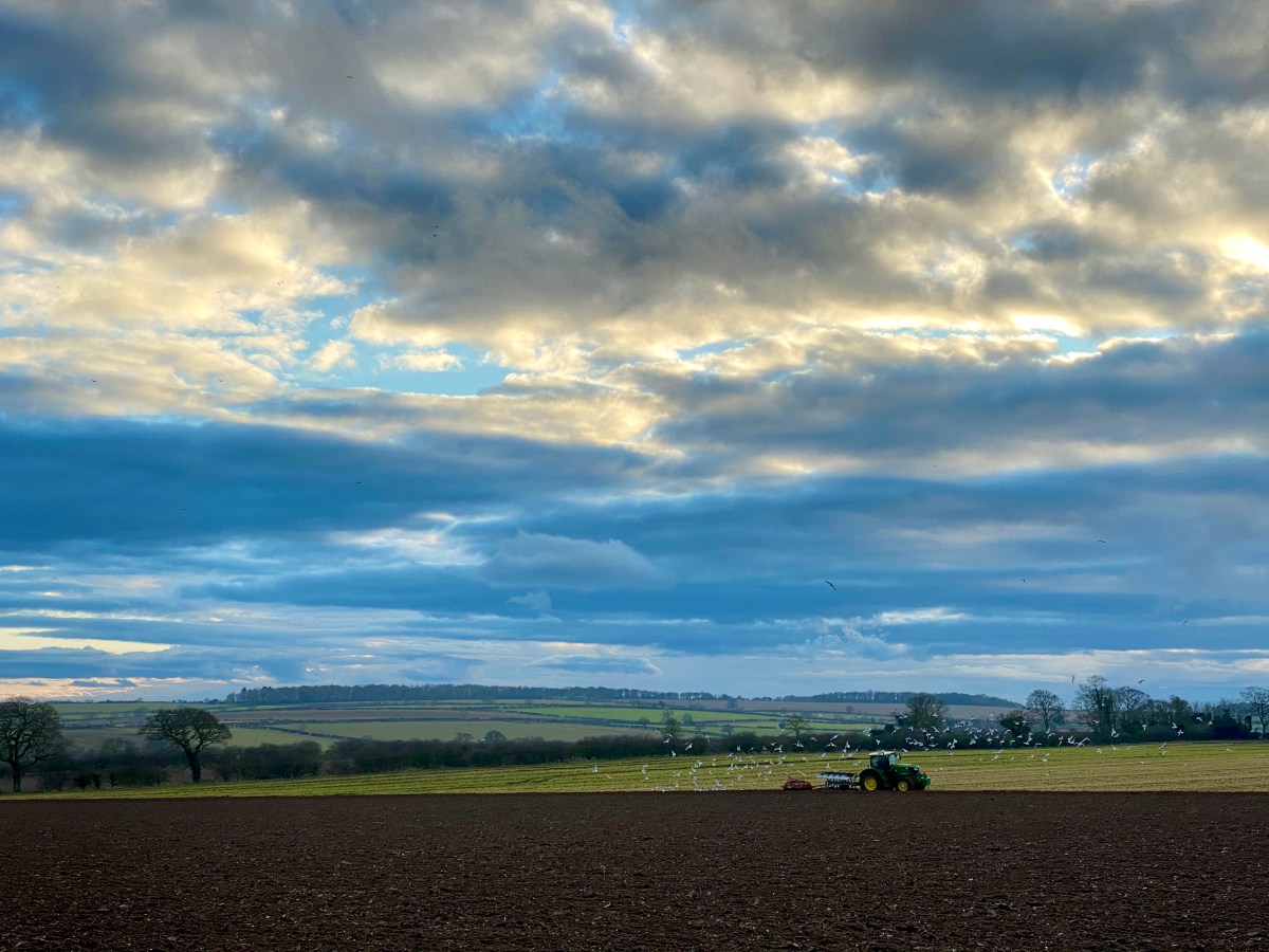 Farming in chalk landscapes – Chalk-Streams