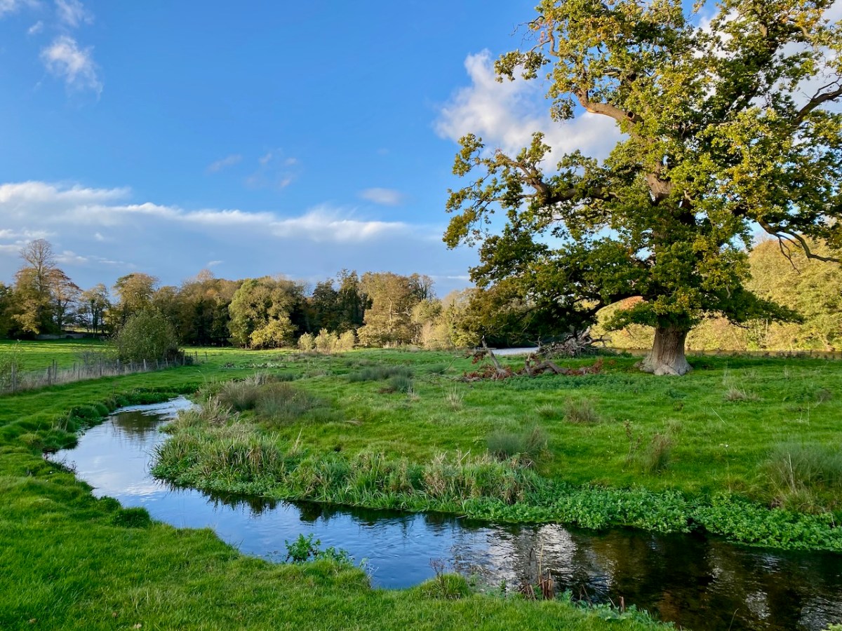 The chalk strategy Implementation Plan: V1. 2022. – Chalk-Streams