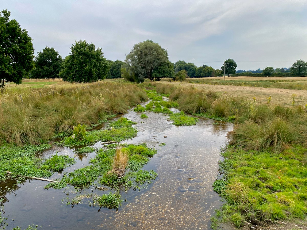 Something we should all agree on. – Chalk-Streams