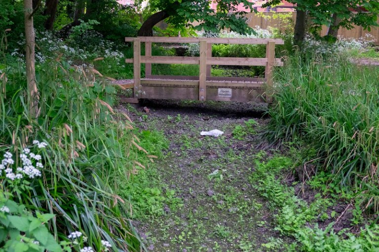 Chalk-Streams – the conservation and restoration of chalk-streams