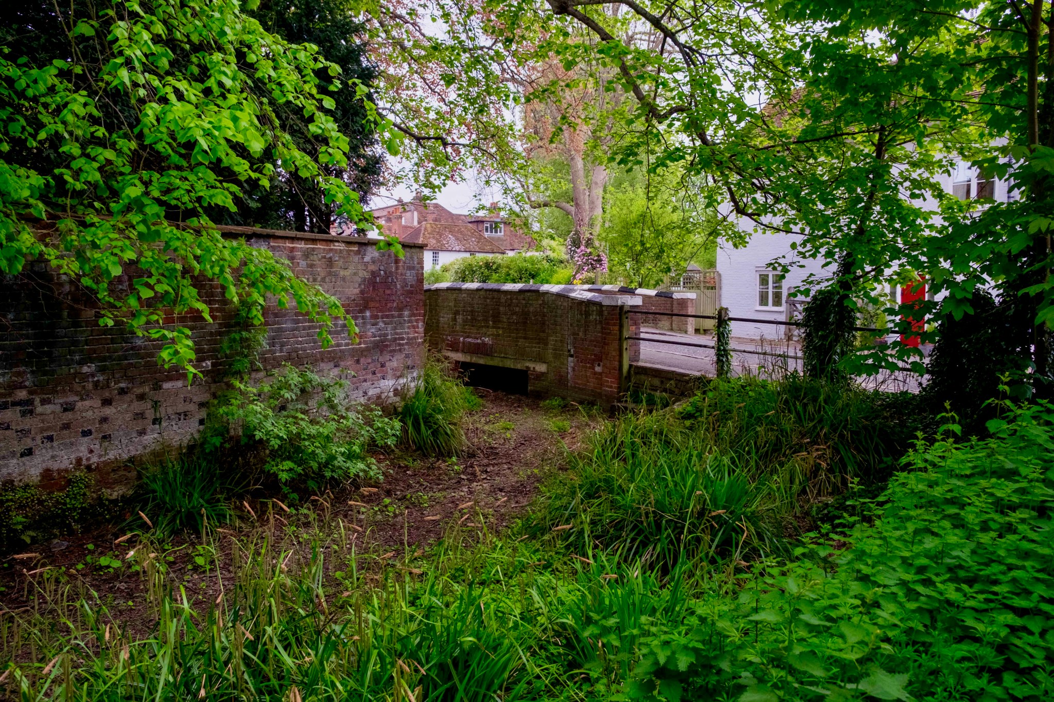 Chalk-Streams – the conservation and restoration of chalk-streams