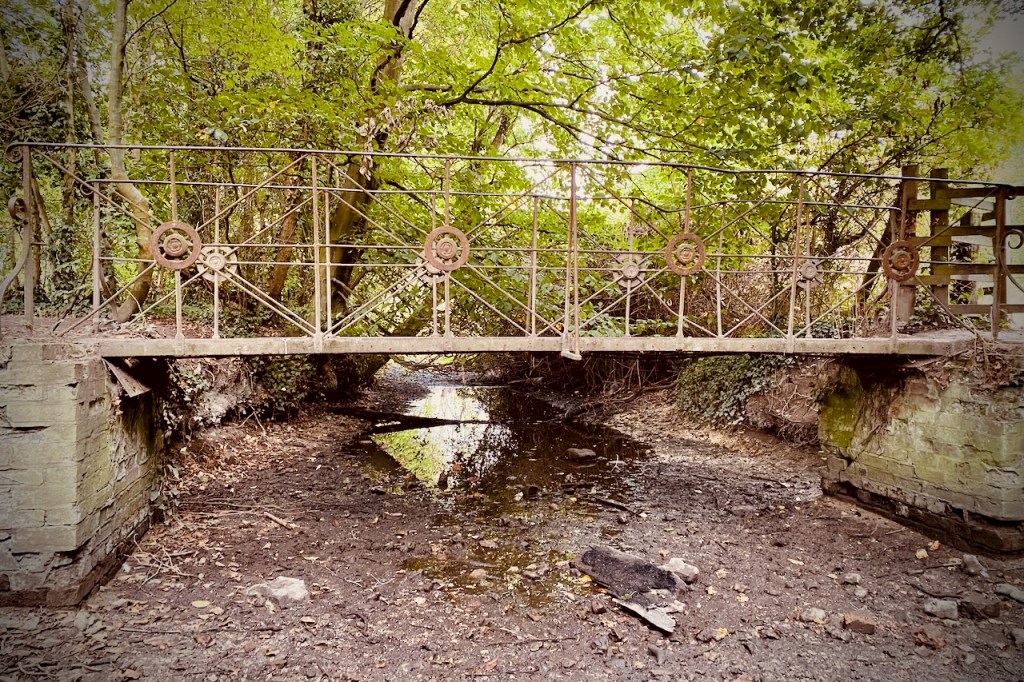 The abandoned chalk stream recovery pack? – Chalk-Streams