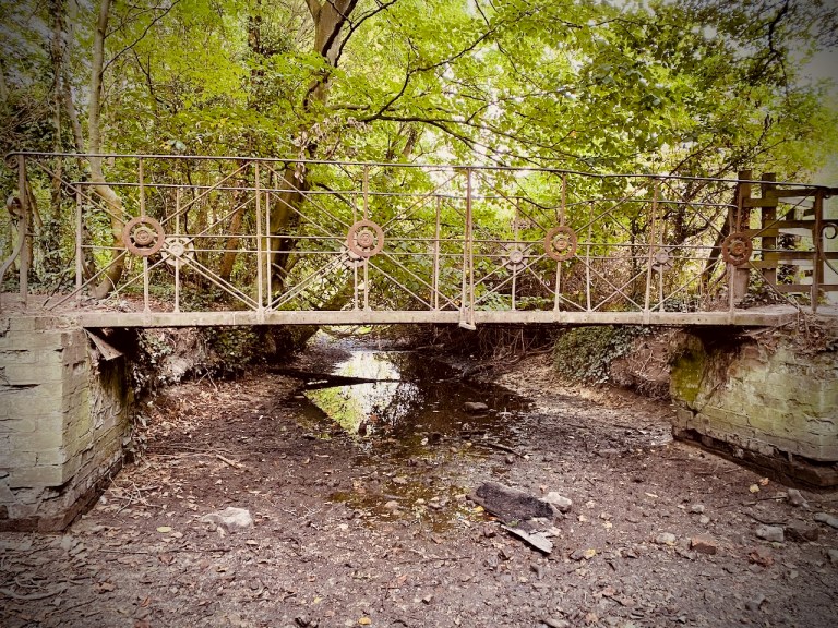 Chalk-Streams – the conservation and restoration of chalk-streams
