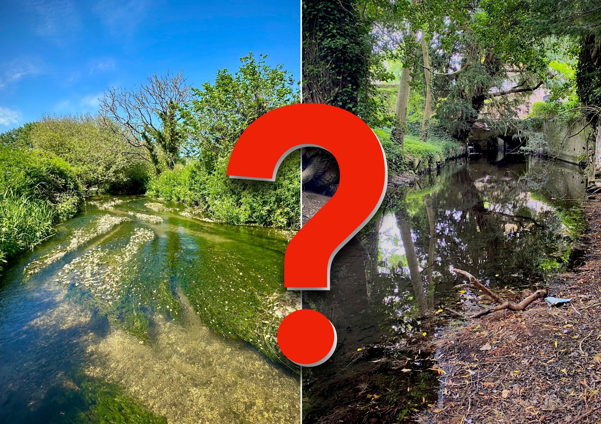 Chalk-Streams – the conservation and restoration of chalk-streams
