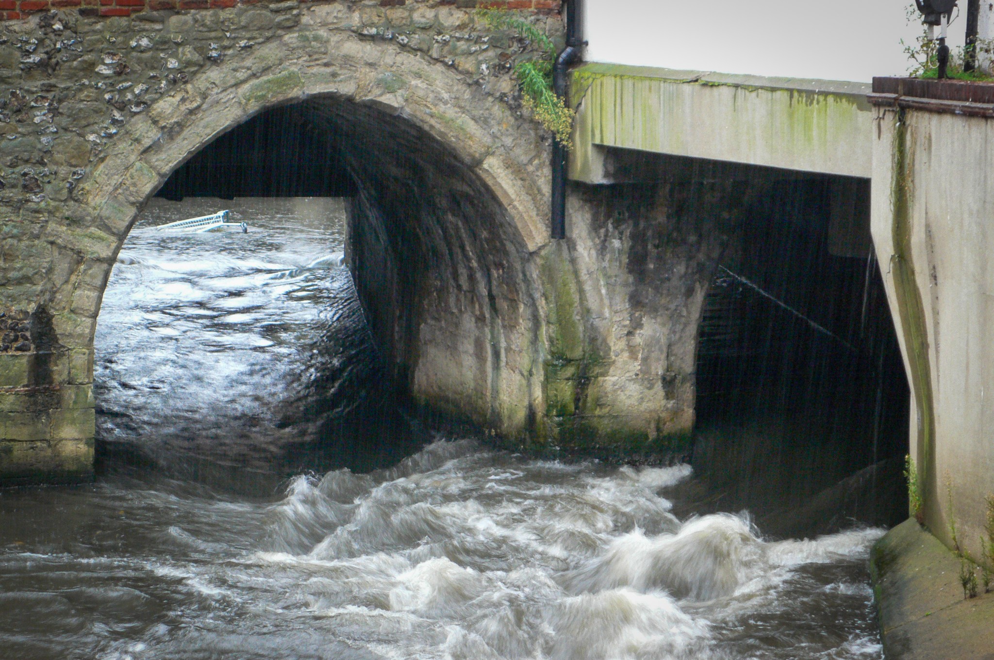 Chalk-Streams – the conservation and restoration of chalk-streams